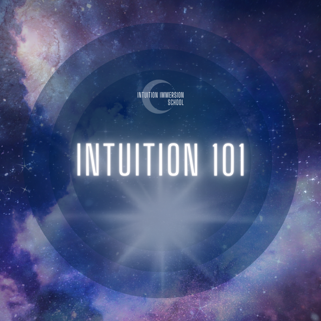 Intuition Immersion School