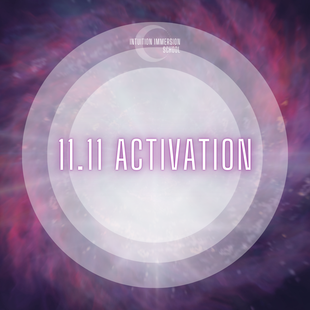 Intuition Immersion School